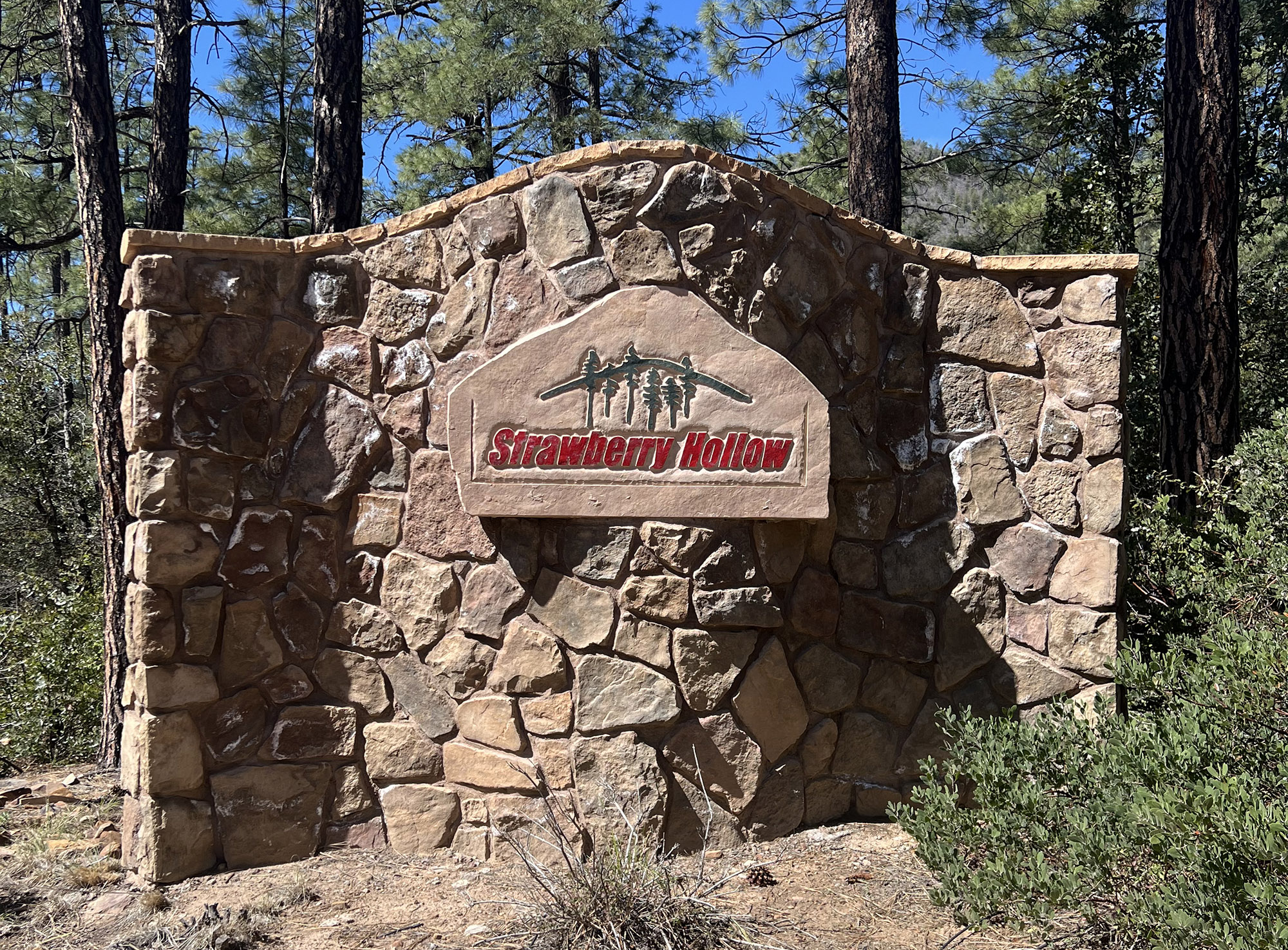 Strawberry Hollow POA